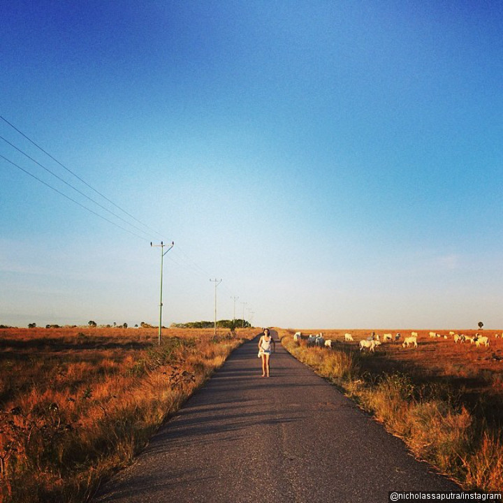 Menikmati Padang Rumput dan Sunset di Sumba Timur, NTT