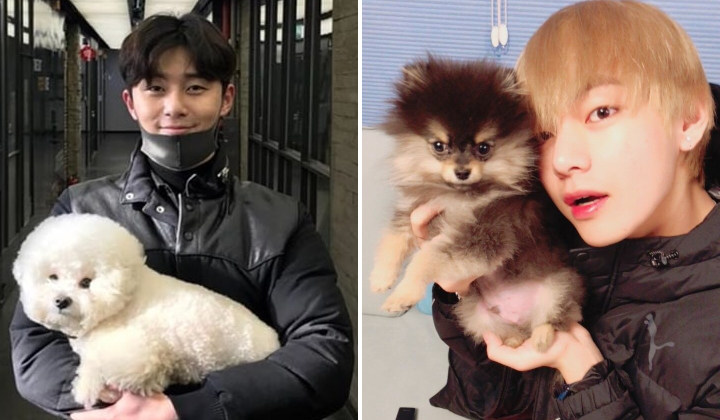 Berteman Dekat, Lucunya Park Seo Joon dan V BTS Bermain Bersama Anjing Peliharaan