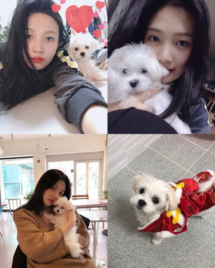 Intip Potret 7 Idol K-Pop dengan Anjing Peliharaannya, Bikin Fans Iri!