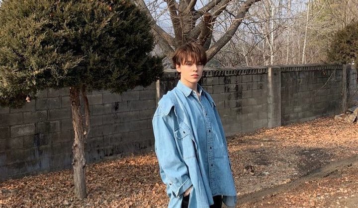 Visual Vernon Seventeen di GDA 2020 Pakai Topeng, Sukses Bikin Takjub ...